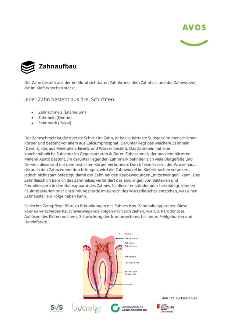 Materialien für die Volksschule - Gesundes Salzburg